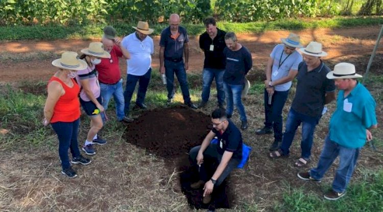 Dia de Campo mostra os benefícios do SPDH nas culturas da melancia e do ...